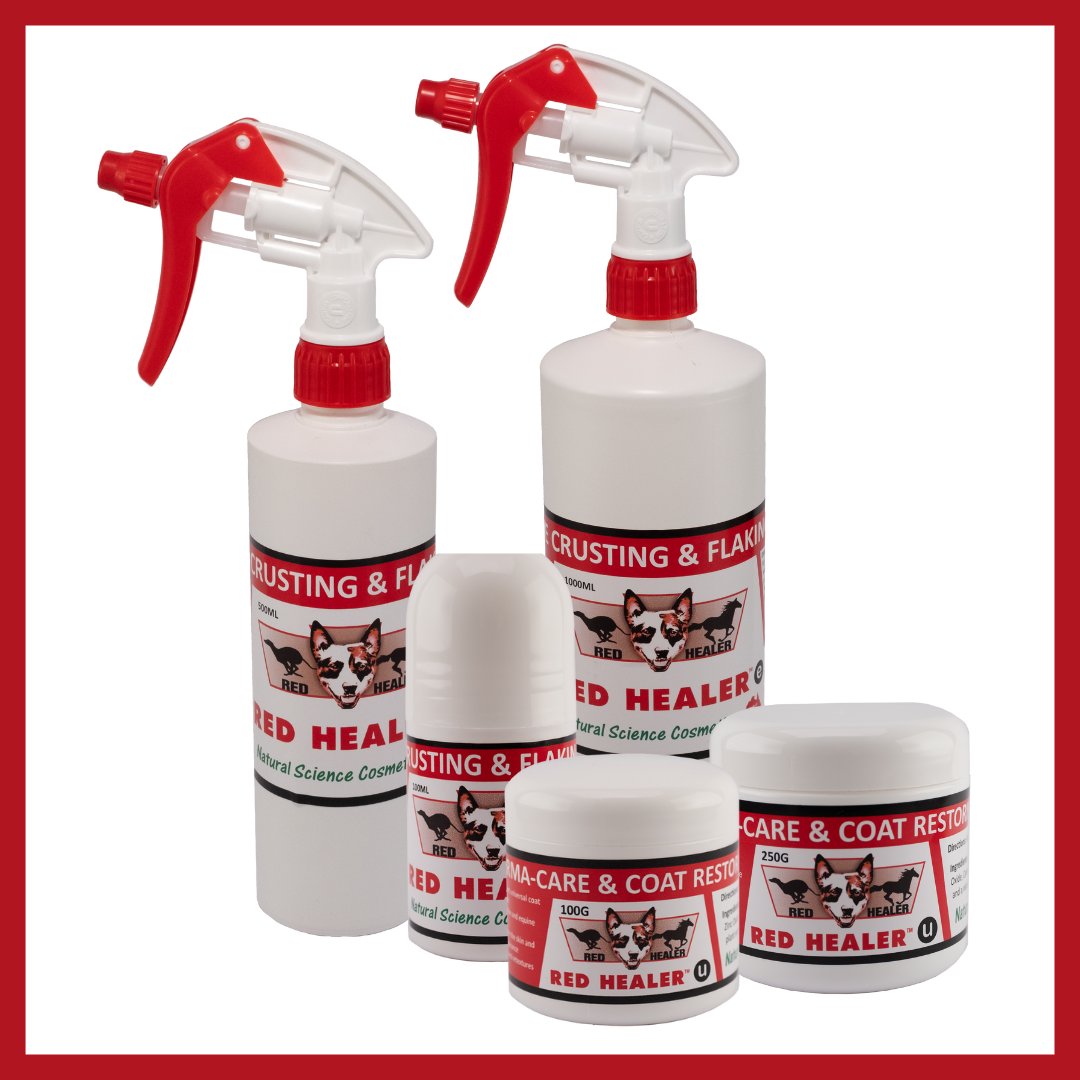 The Equine Range – Red Healer
